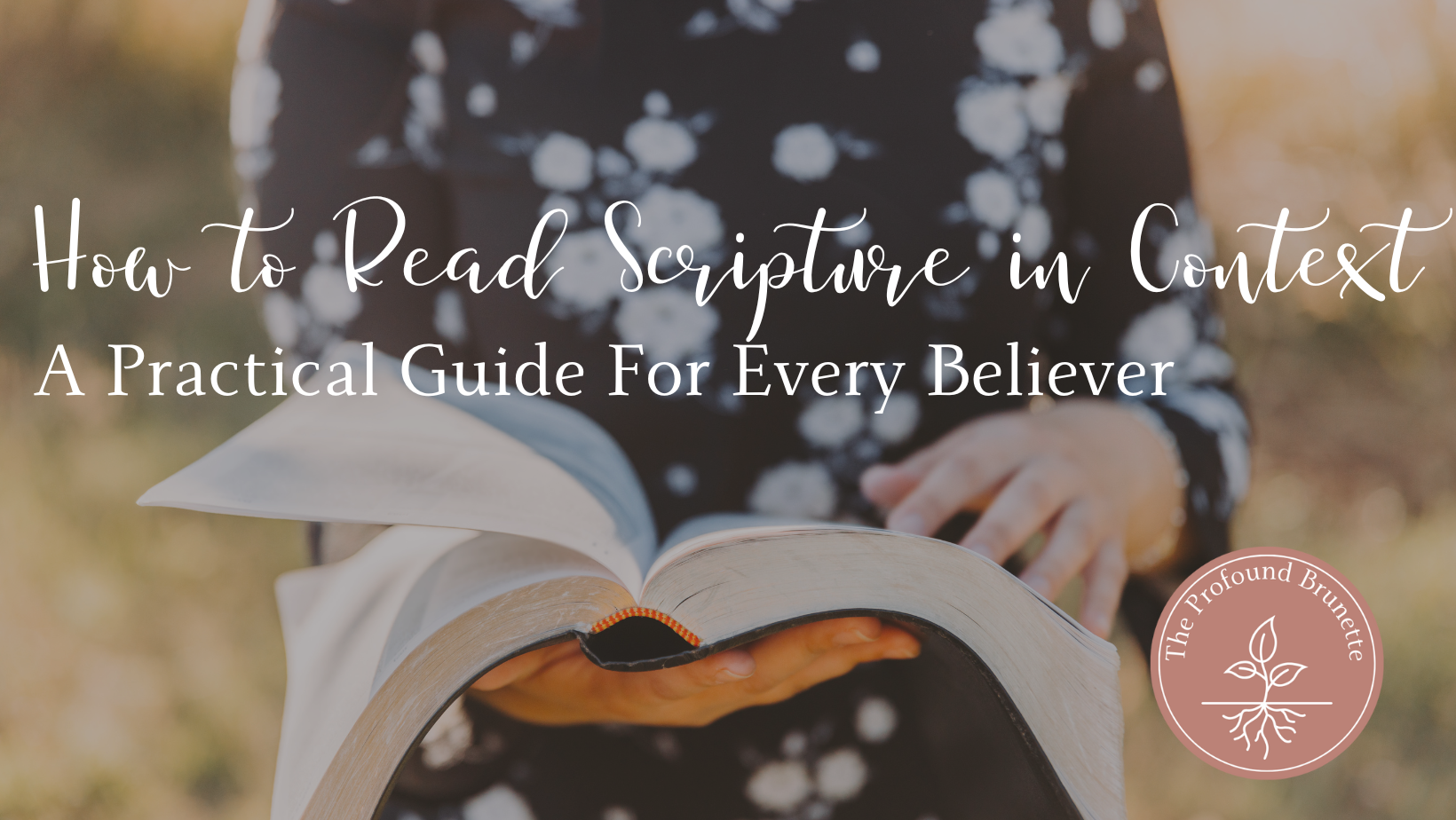 Reading Scripture in Context (Free Resource!) - The Profound Brunette